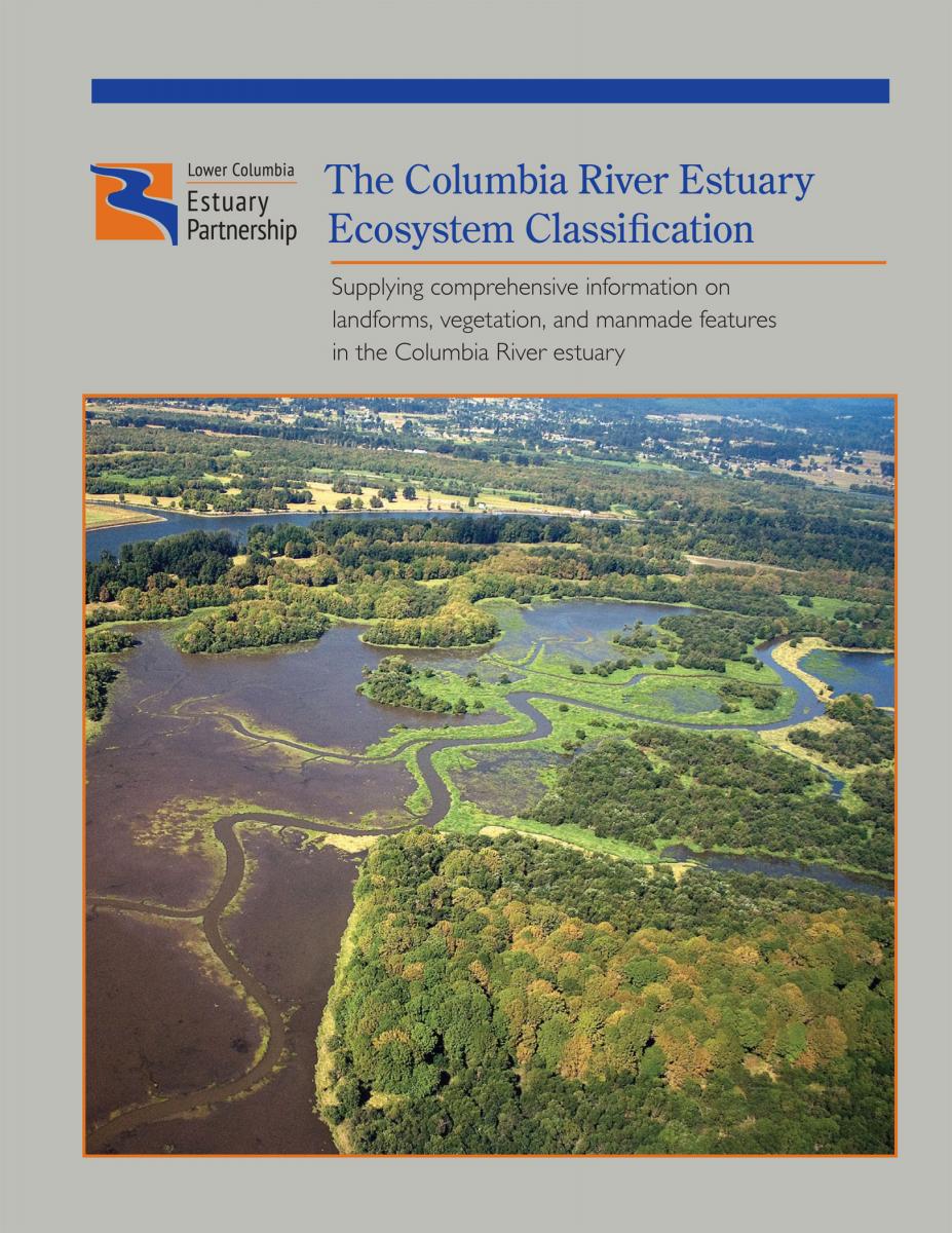 Estuary Ecosystem