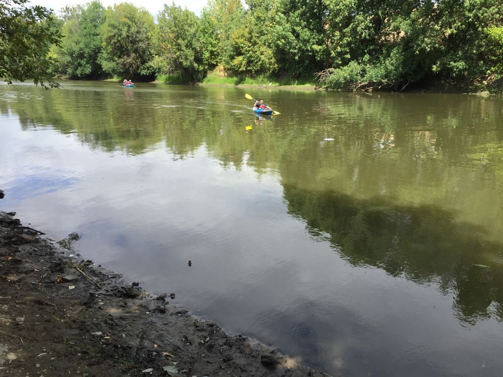 Columbia Slough | Estuary Partnership