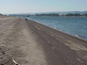 Frenchman's Bar Park Beach Launch | Estuary Partnership