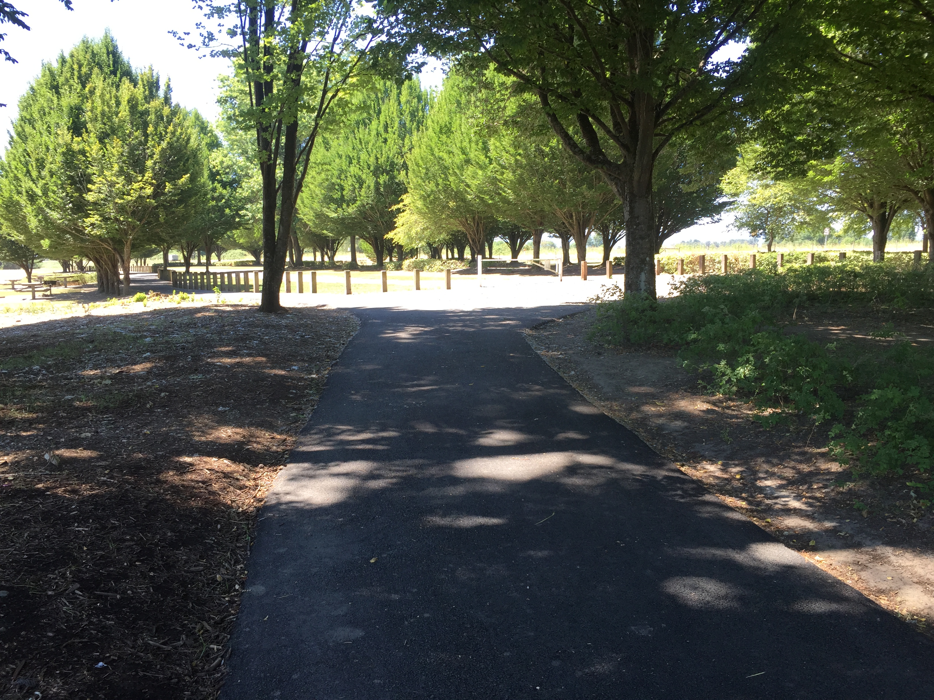 Vancouver Lake Park Shore Launch | Estuary Partnership
